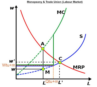Economics: Labour Market Imperfections: Trade Union & Monopsony