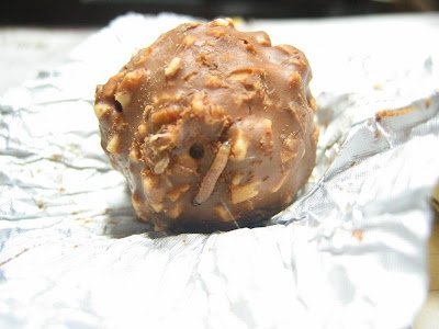 Not2Eat: Wormy Ferrero Rocher