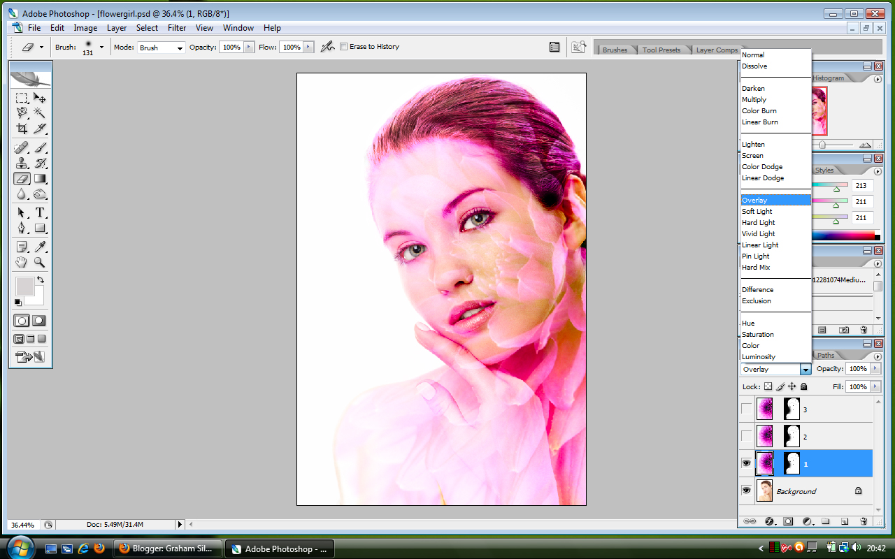 Graham Silcock Photography: Digital Manipulation: Layers