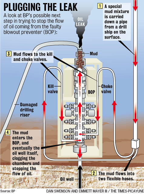 Al Fin: A Graphic Look at BP's Top Kill Procedure to Stuff Well