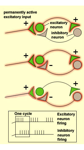 Al Fin: In the Brain, Inhibition Sets Us Free