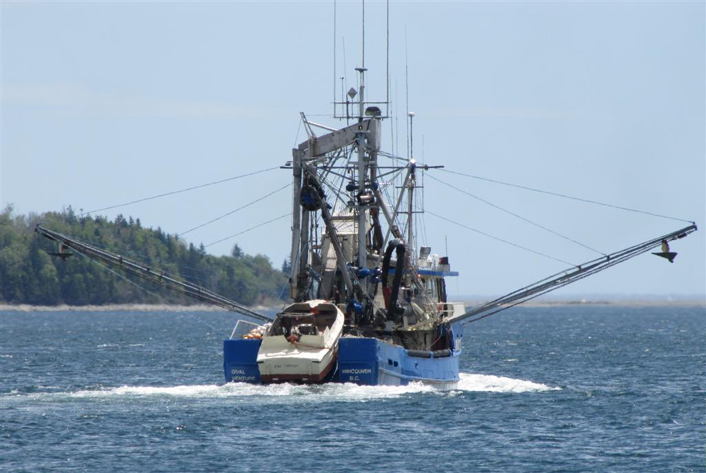 Shipfax: Setting Paravanes