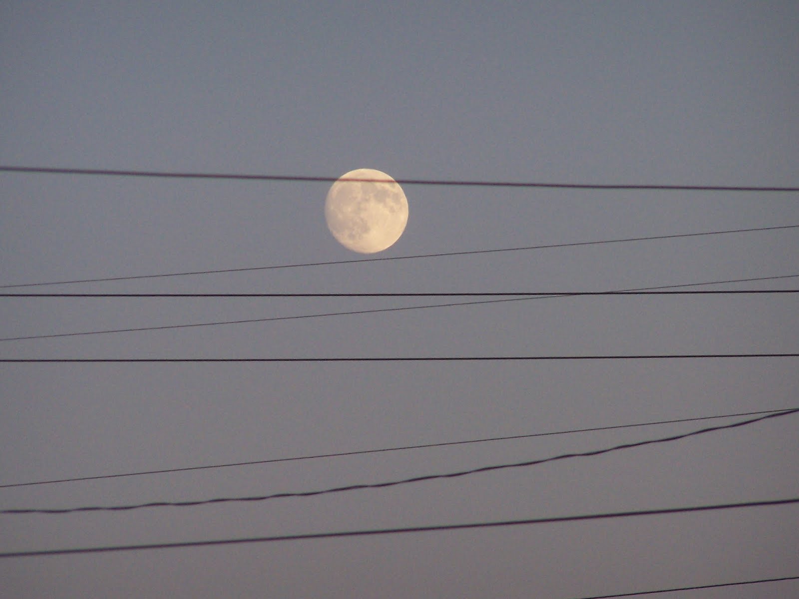 Moon Wanderings: Singing to the Moon
