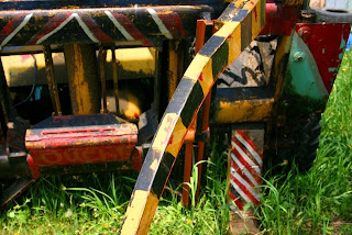 Mouse Droppings: Arelee Photos