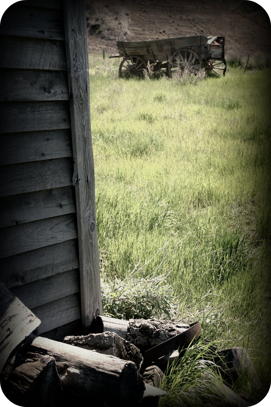 Mouse Droppings: The Ragged Old House - Trip to Drumheller