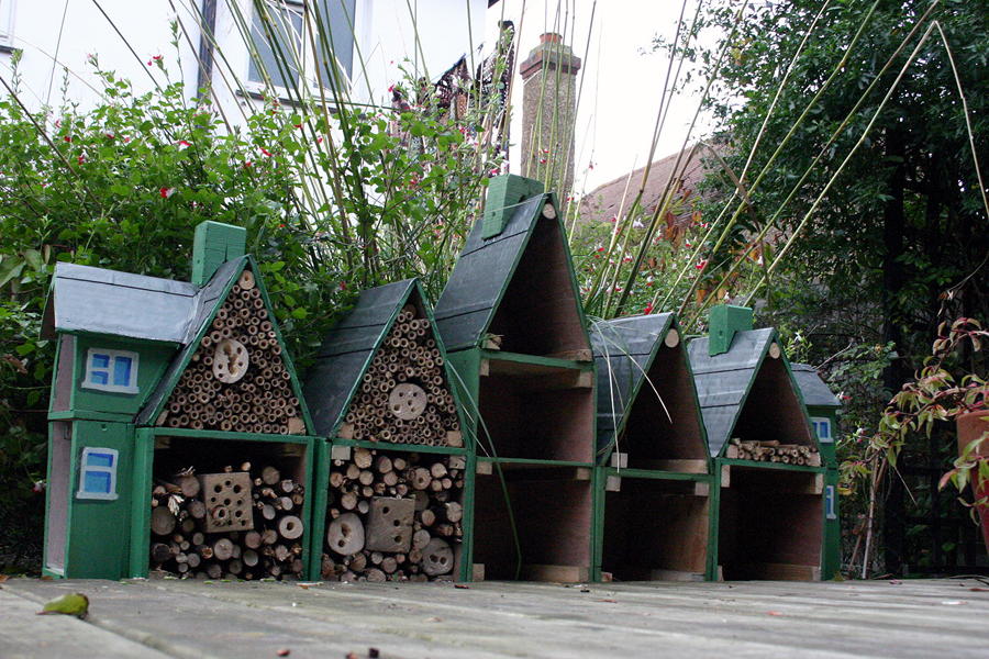 Wildart: Terraced Insect Homes.