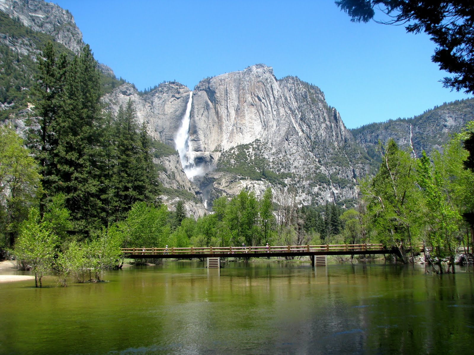 I've been Places!: [Hike] Sentinel Bridge (or Swinging Bridge) Yosemite