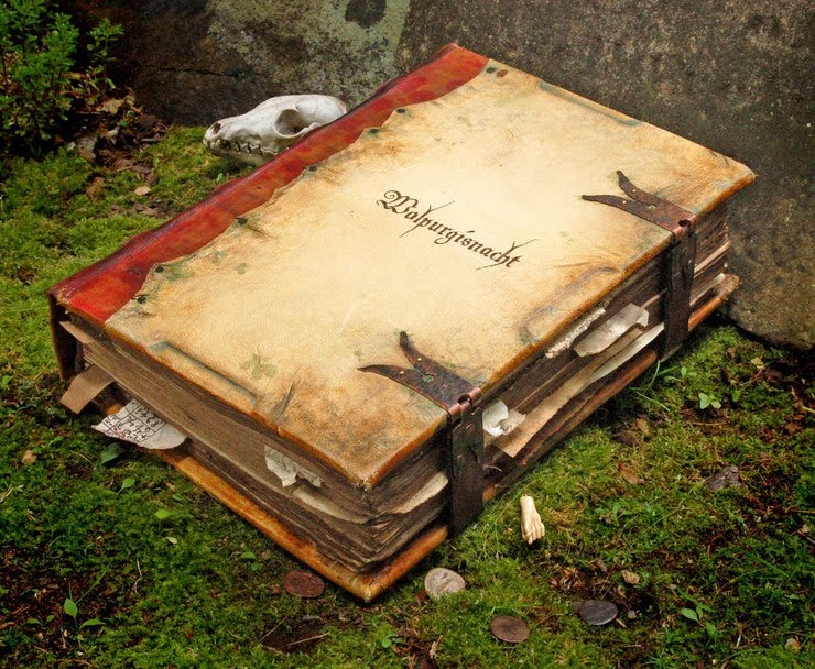 Loopy Rocket: 500 year Old Prop Book... Or Why I Wanted to go into ...