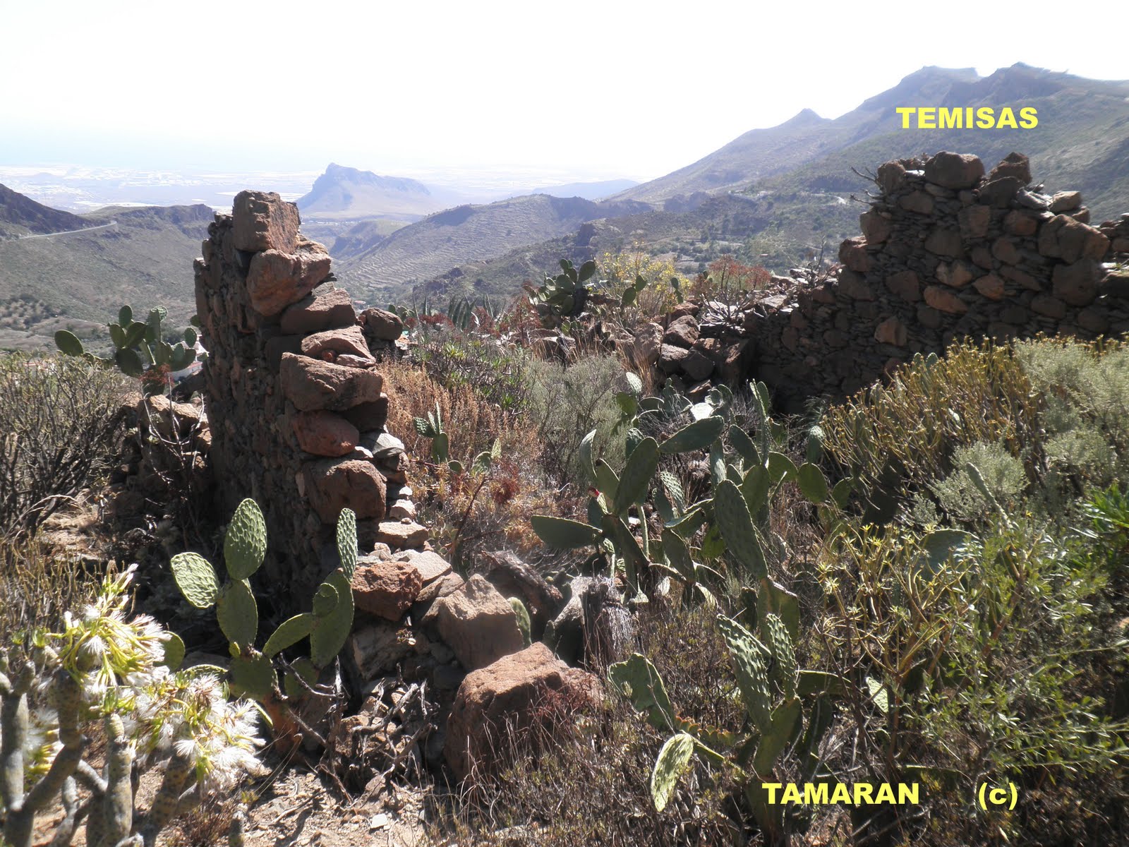 TAMARAN: TEMISAS DE TAMARAN - GRAN CANARIA