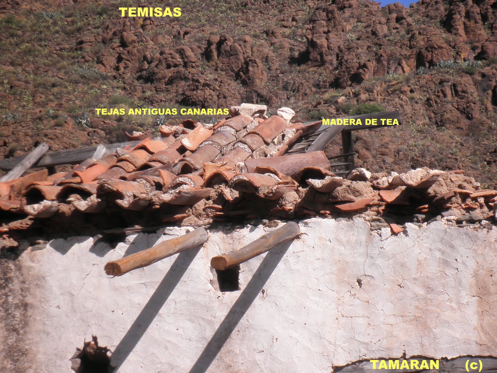 TAMARAN: TEMISAS DE TAMARAN - GRAN CANARIA
