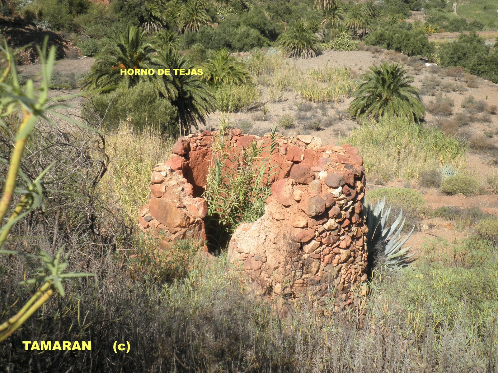 TAMARAN: TEMISAS DE TAMARAN - GRAN CANARIA