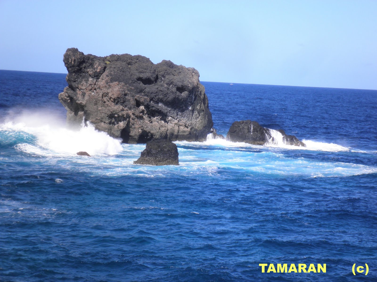 TAMARAN: GRAN CANARIA AZUL- TAMARAN