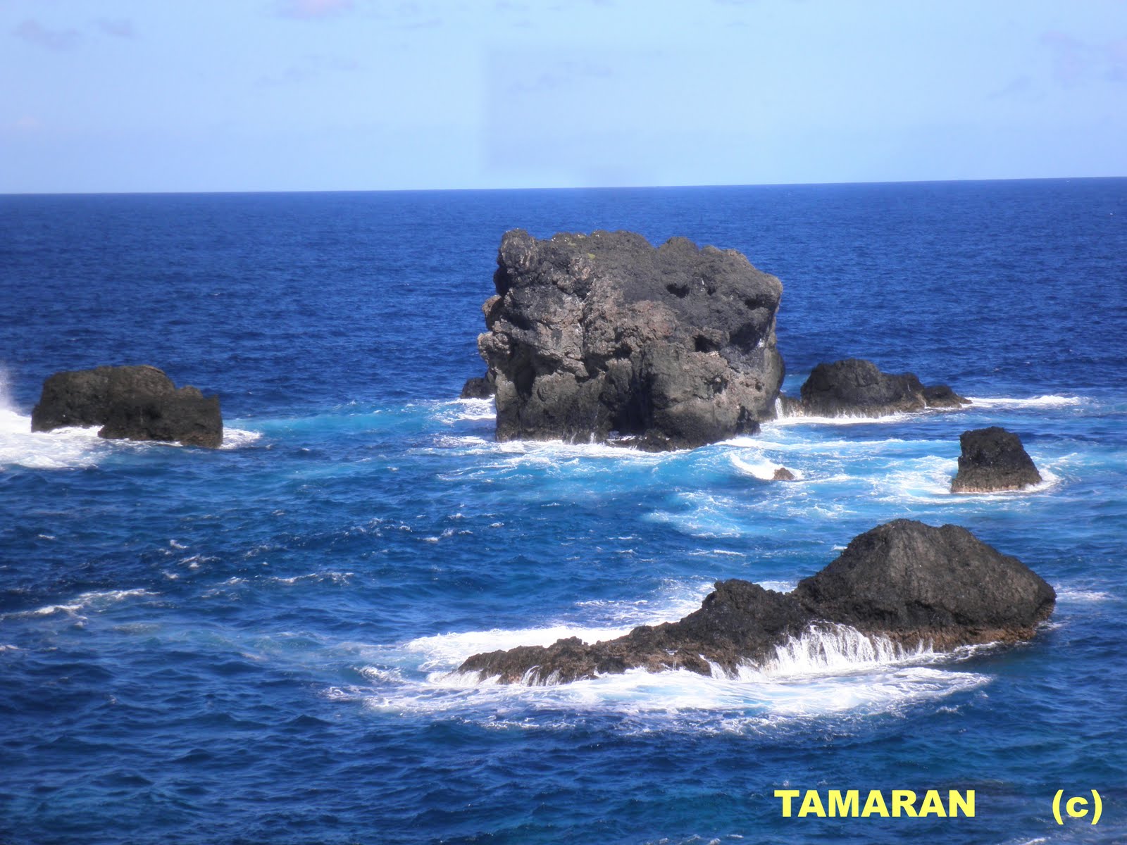 TAMARAN: GRAN CANARIA AZUL- TAMARAN