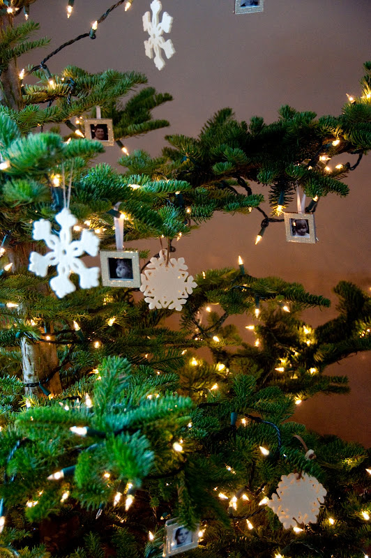 Aesthetic Nest: Rooms: Christmas Decorating 2009