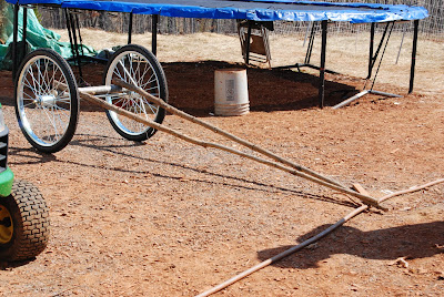 virginiaisforlykoshes: The Dolly and the Log