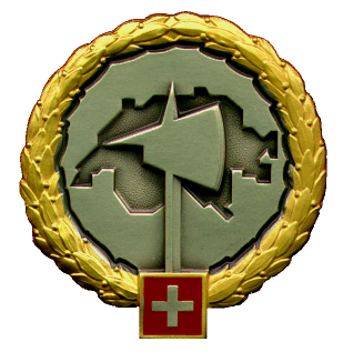 The Beret Project: Badges #1