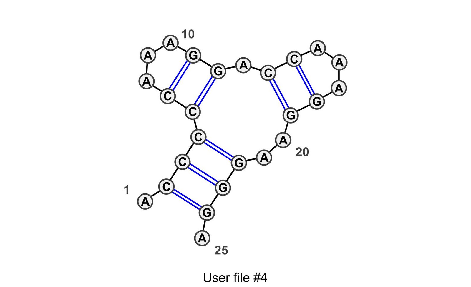 GSOC 2010 - Adding RNA Support to Jalview: Parsing WUSS notation of RNA ...