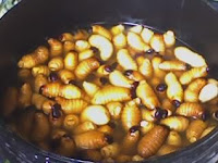 Proyecto Pincho de Chontacuro