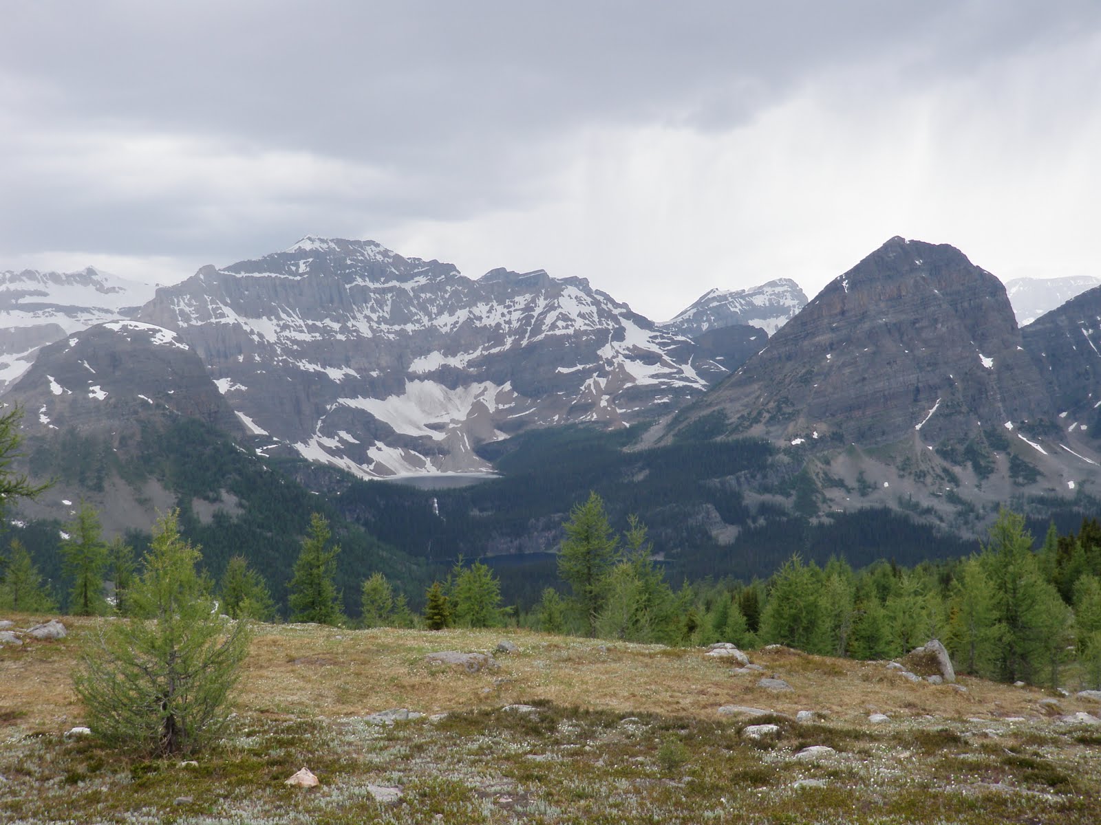 Banff Trail Trash: It's a Magical, Mystical World