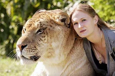 In Love of Animals, animal information, animal blog, animal blogs ...