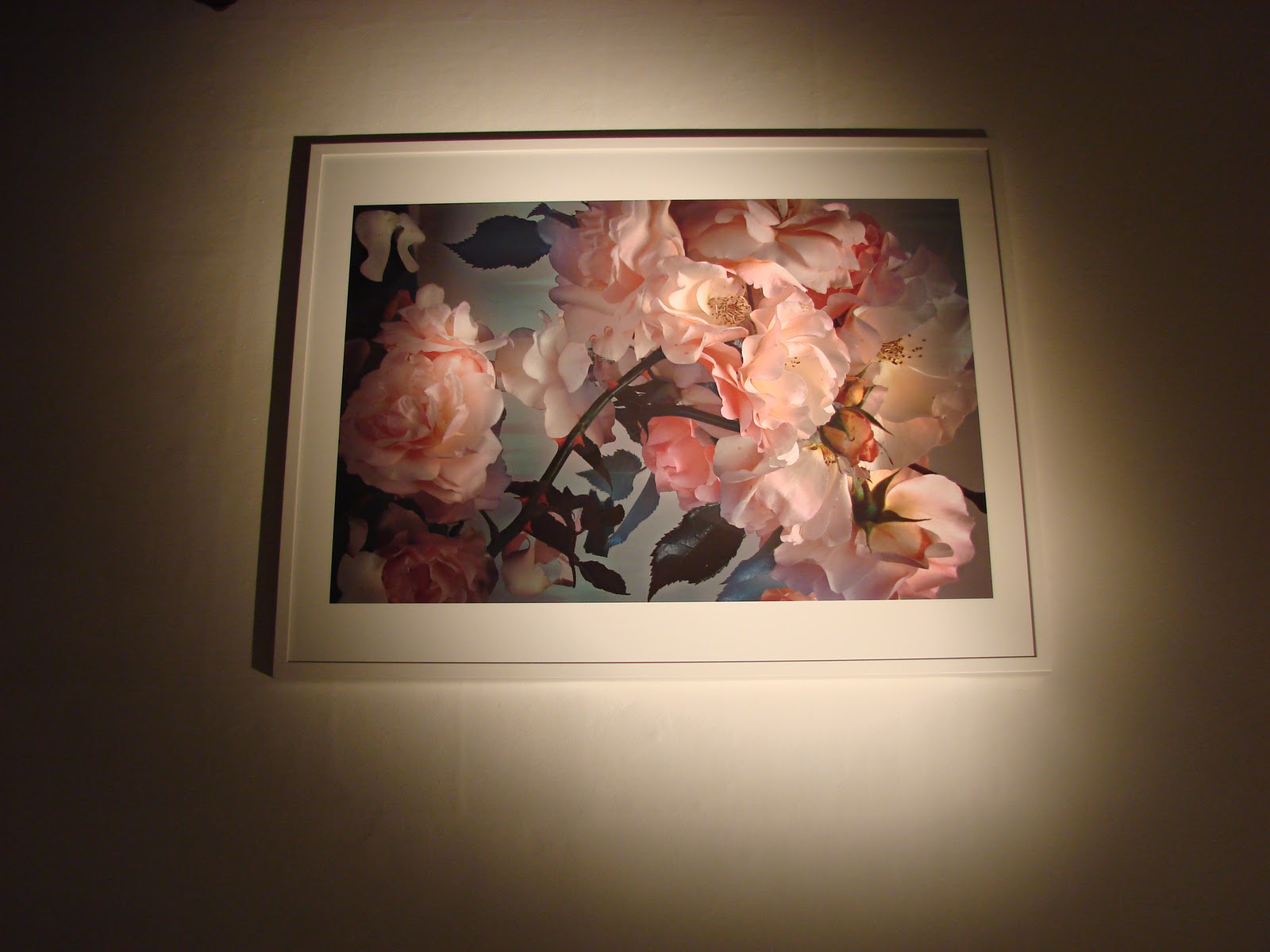 The Fashion Scout: Say it with Flowers: SHOWstudio Review