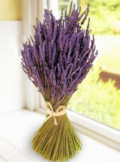 KHASIAT BUNGA LAVENDER | Lily Flowers-8