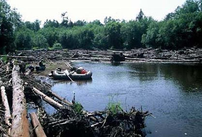 Flyfishing Russia: Tugur River - home of Siberian taimen