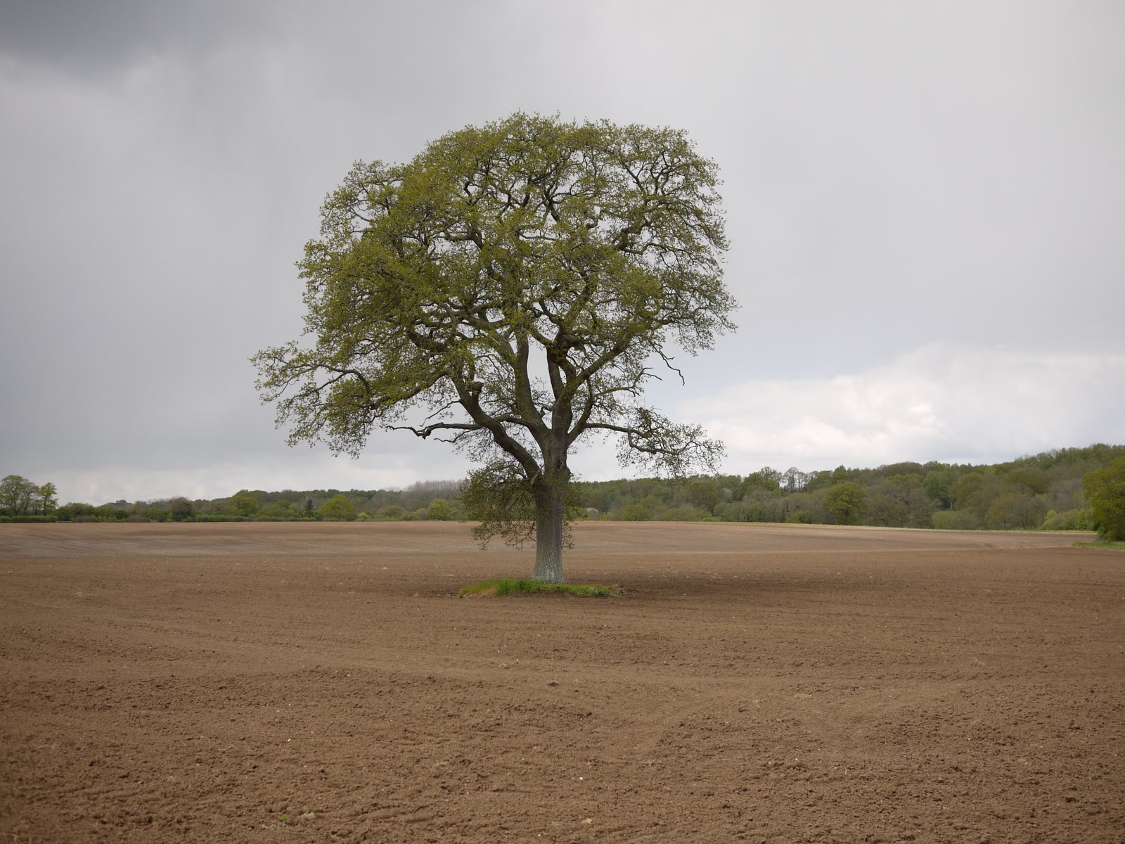 Walking in the country: Thatcham and the River Enborne