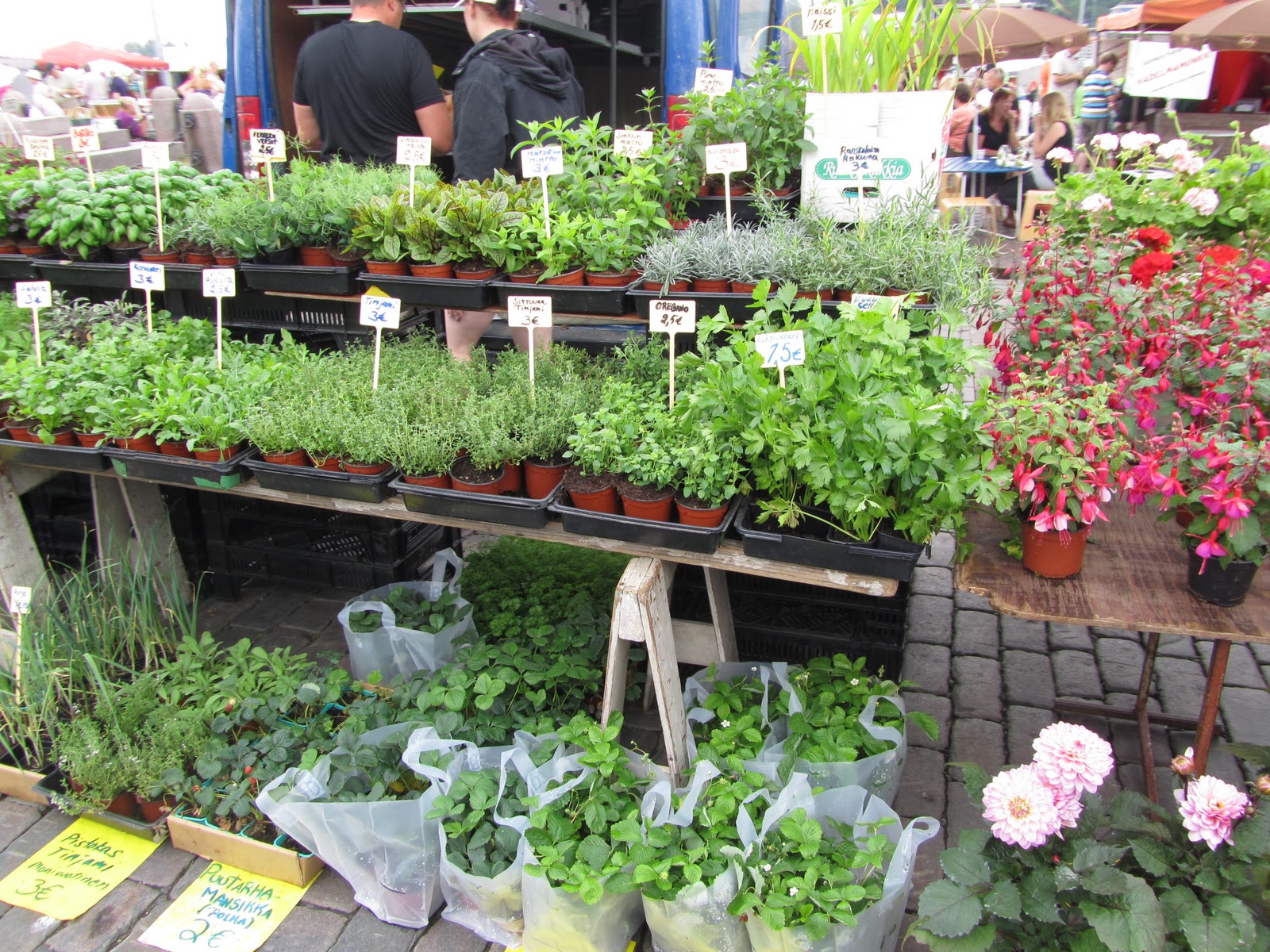 Joy to the World: Helsinki, Finland Market