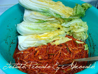 Testado, Provado e Aprovado!: KIMCHI ..... a receita!