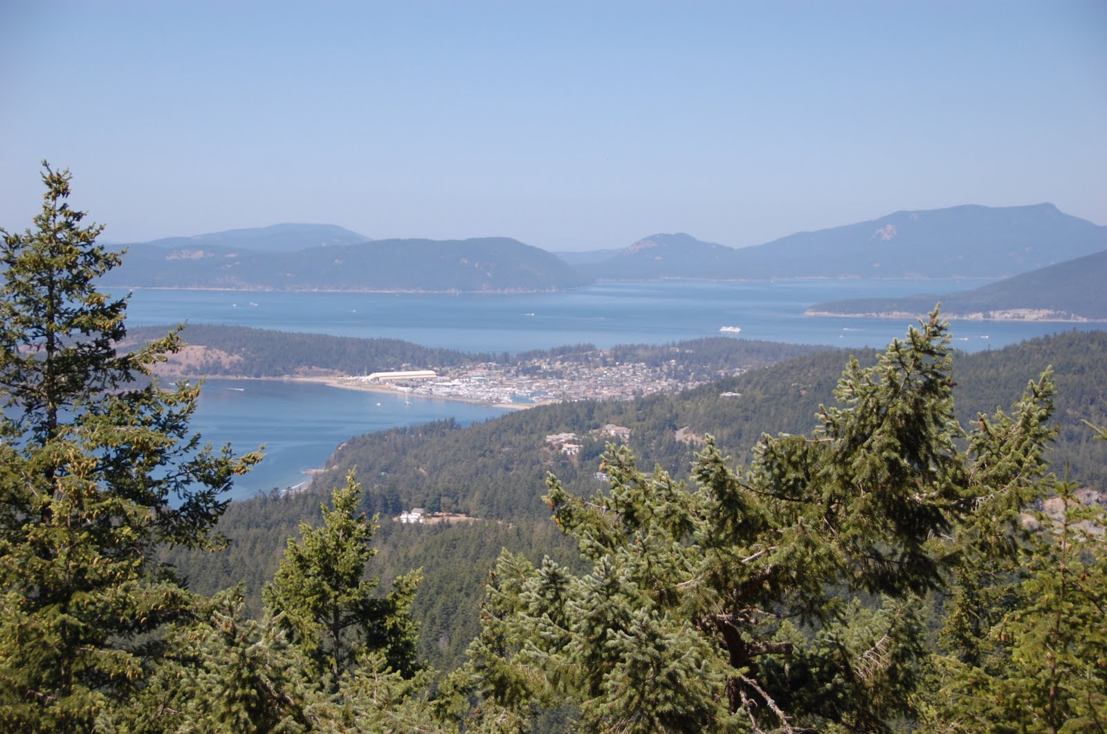Travels with L (and sometimes Z & F): Fidalgo Island, Washington