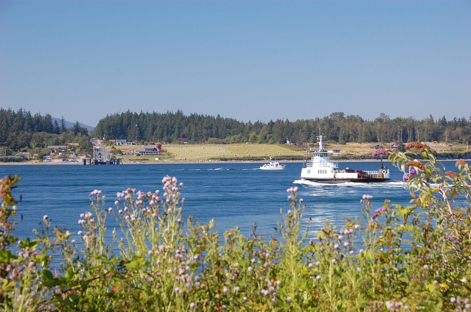 Travels with L (and sometimes Z & F): Fidalgo Island, Washington