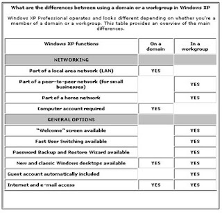Daniel Joseph: Difference between Domain and WorkGroup