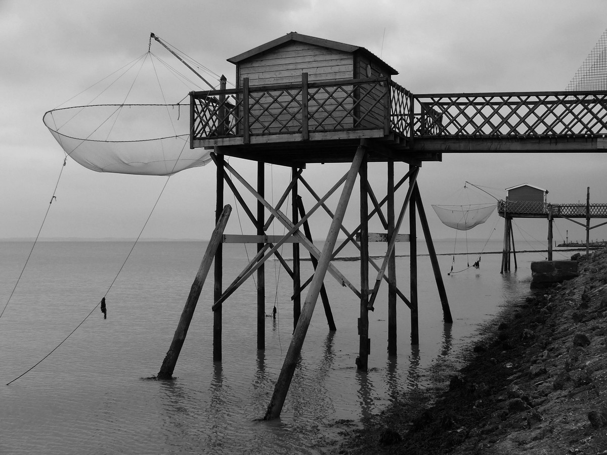 Montreur d'images: Carrelet en Charente-Maritime