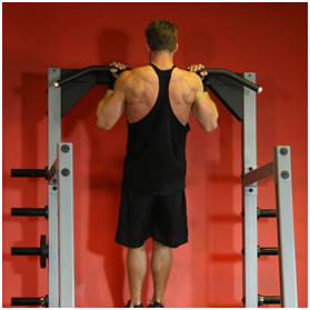 bodybuilding: Best Back Exercises to Build Muscle