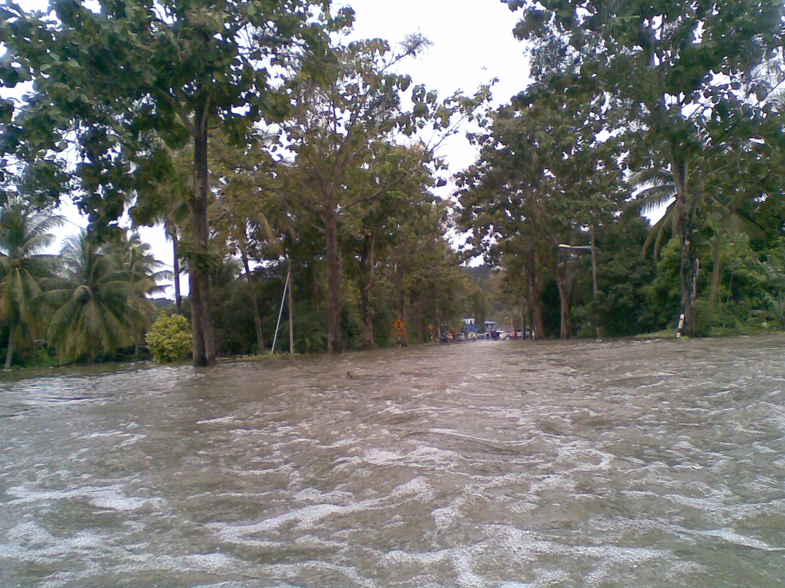 Aku Ke Ini | Blog Pandangan Diri: SEKITAR BANJIR DI PERLIS (GAMBAR) Part 1