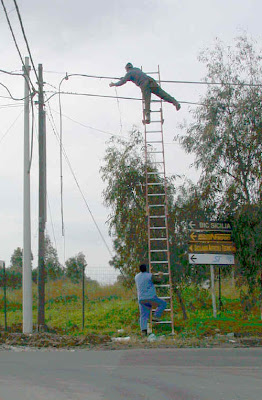 ThE Funniest PicTurEs WitH LaddeRs - DoRIon55 BloG