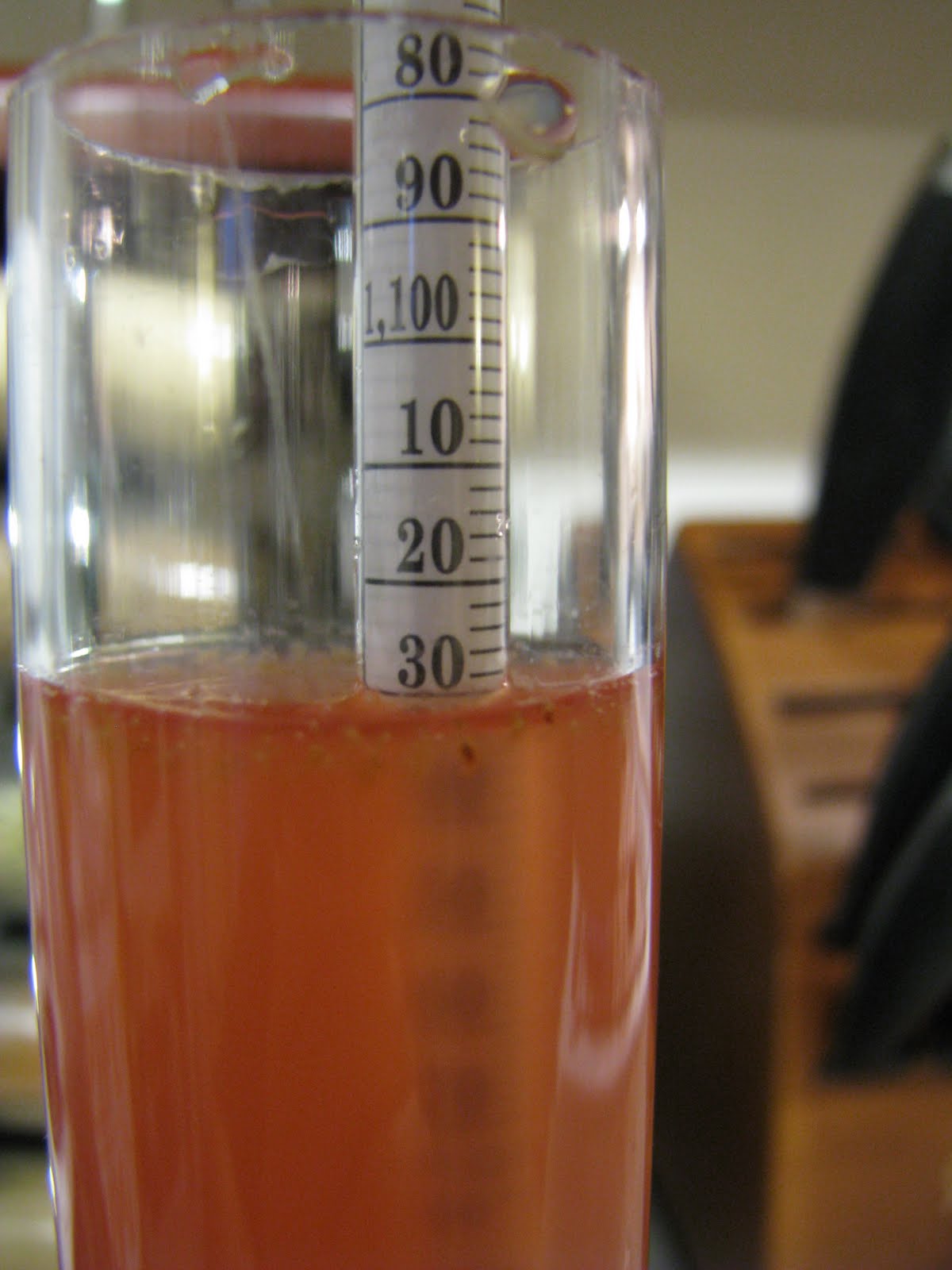 Prickly Pear cactus fruit mead brew day.