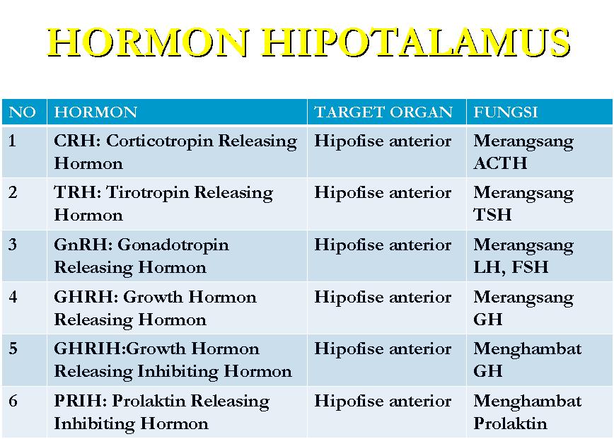 dr. Suparyanto, M.Kes: HORMON