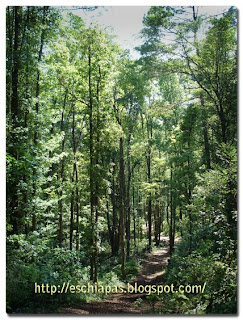 ¡Es Chiapas!: Coapilla