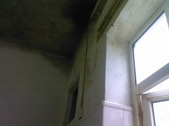 JONATHAN LOVELOCK: Scar Face