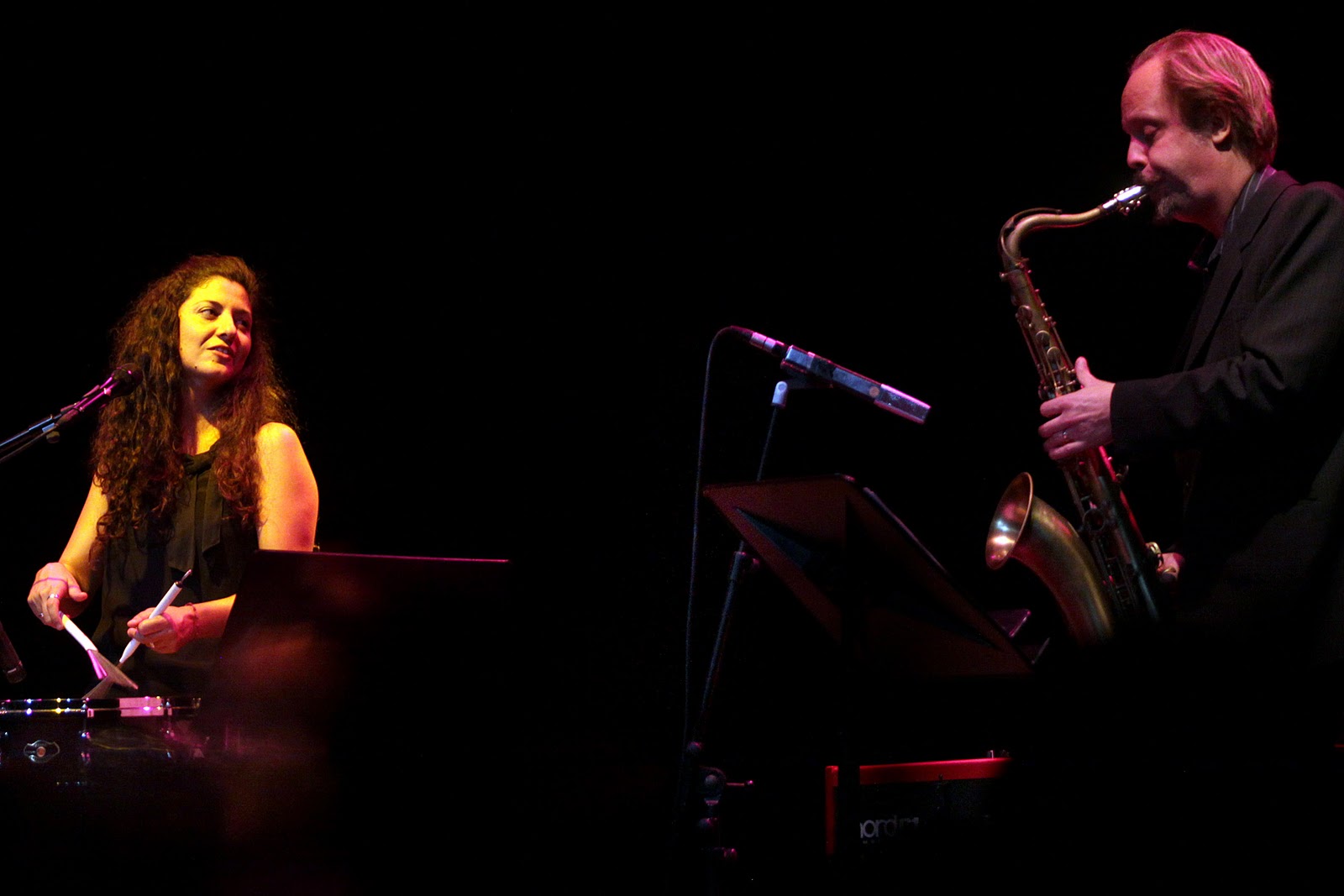 el blog de miyoespectador.com: Ana Cisneros en el XXIV Festival ...