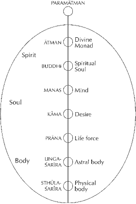 Ciência e Esoterismo: Capitulo 9 - Os 7 Principios do Homem