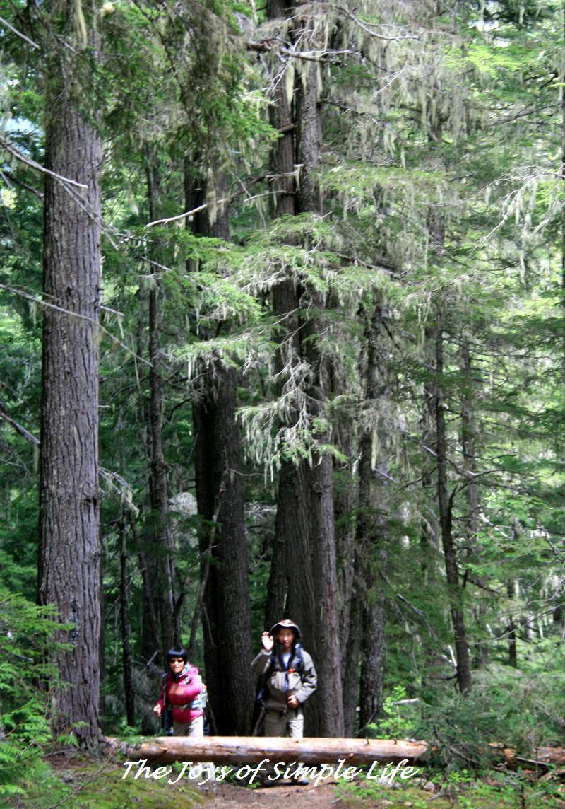 The Joys of Simple Life: Easy Pass Trail, North Cascades National Park