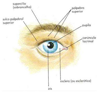 Enfermagem: As Aulas de Hoje de Laboratório.