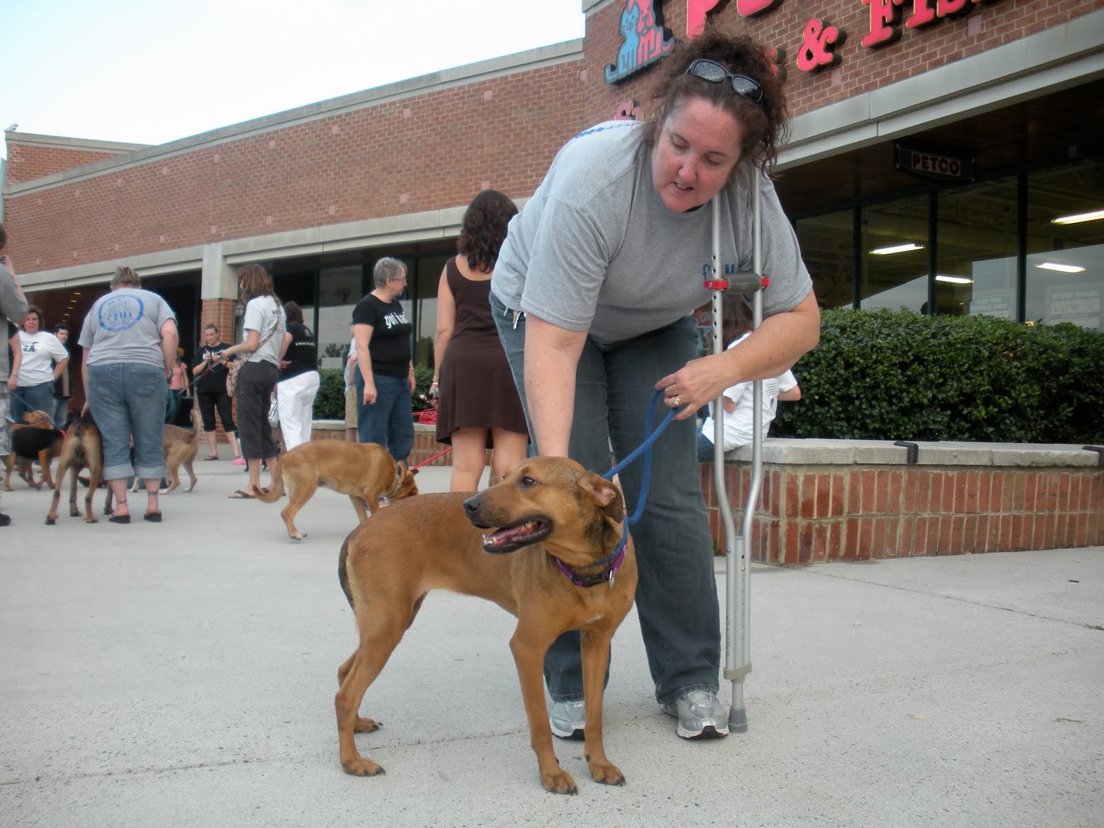 North Carolina Rescue