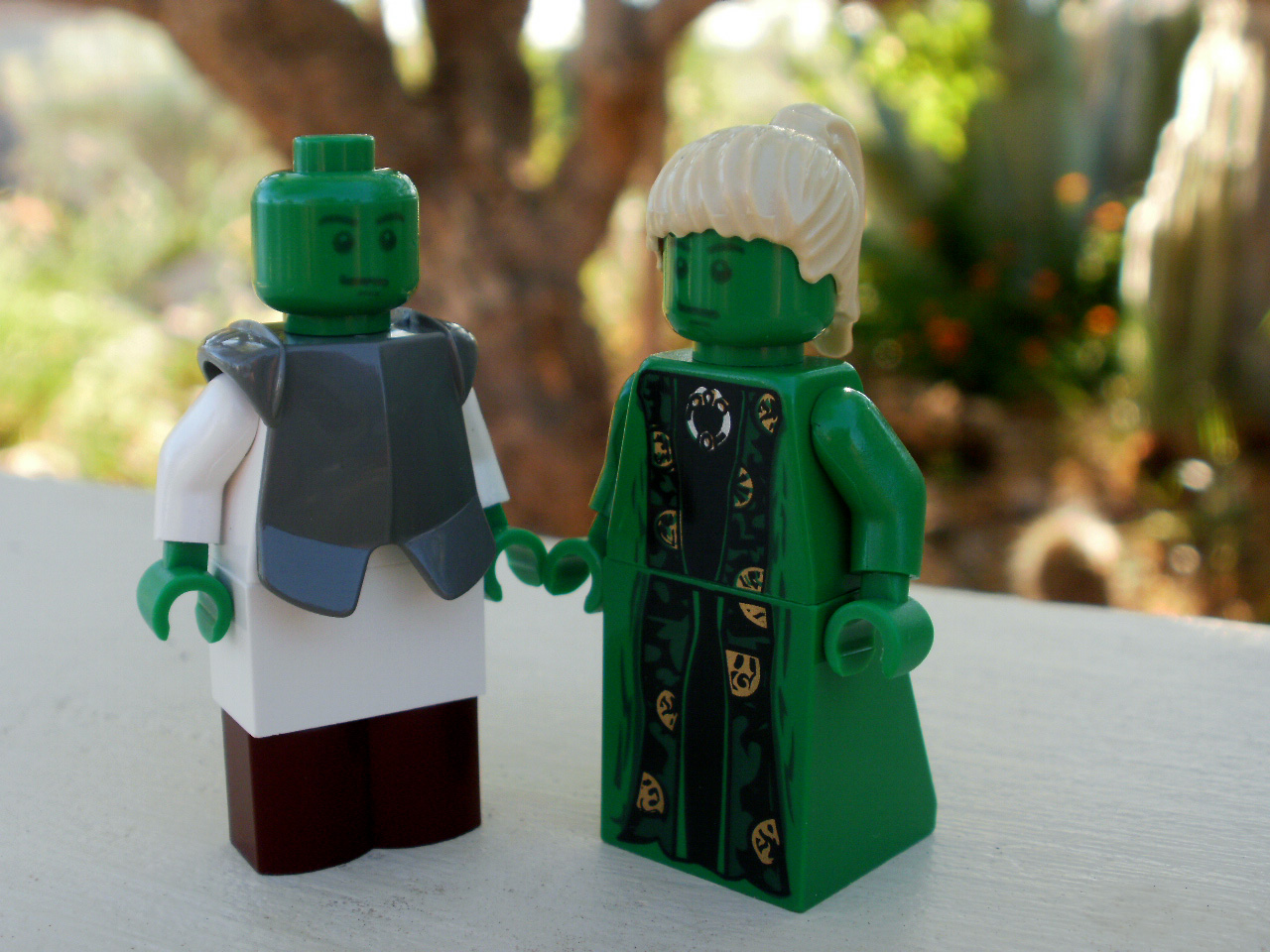 Bountiful Blessings: Original Creations by Dylan: LEGO Shrek and Fiona ...