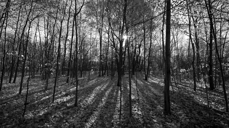 AJ Pascas Photography: Spooky weather