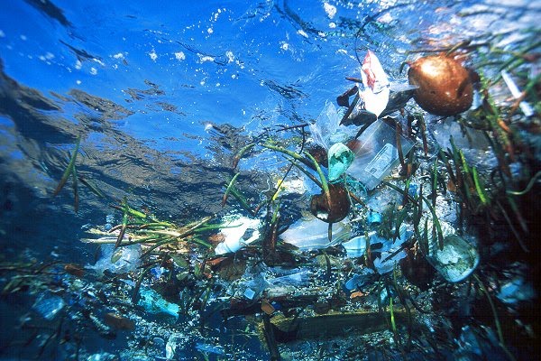 Sypesteyn in the picture: Plastic Soep