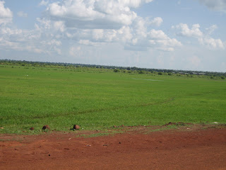 Madut Majok: Wau Town